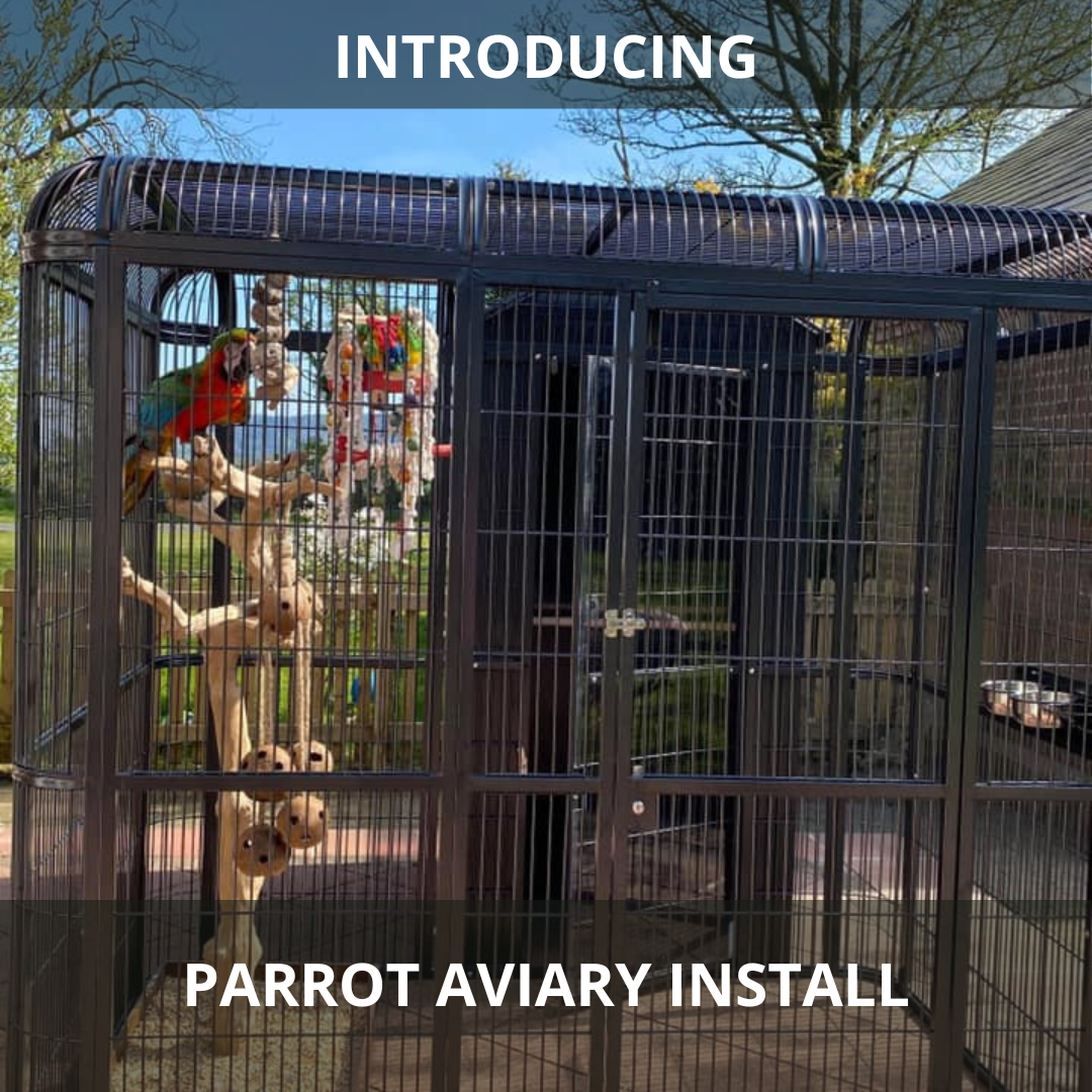 PARROT AVIARY INSTALL – Seth's Little Zoo