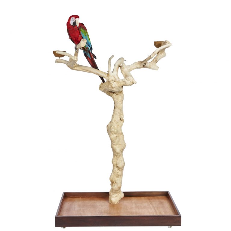 Java Trees – Seth's Little Zoo