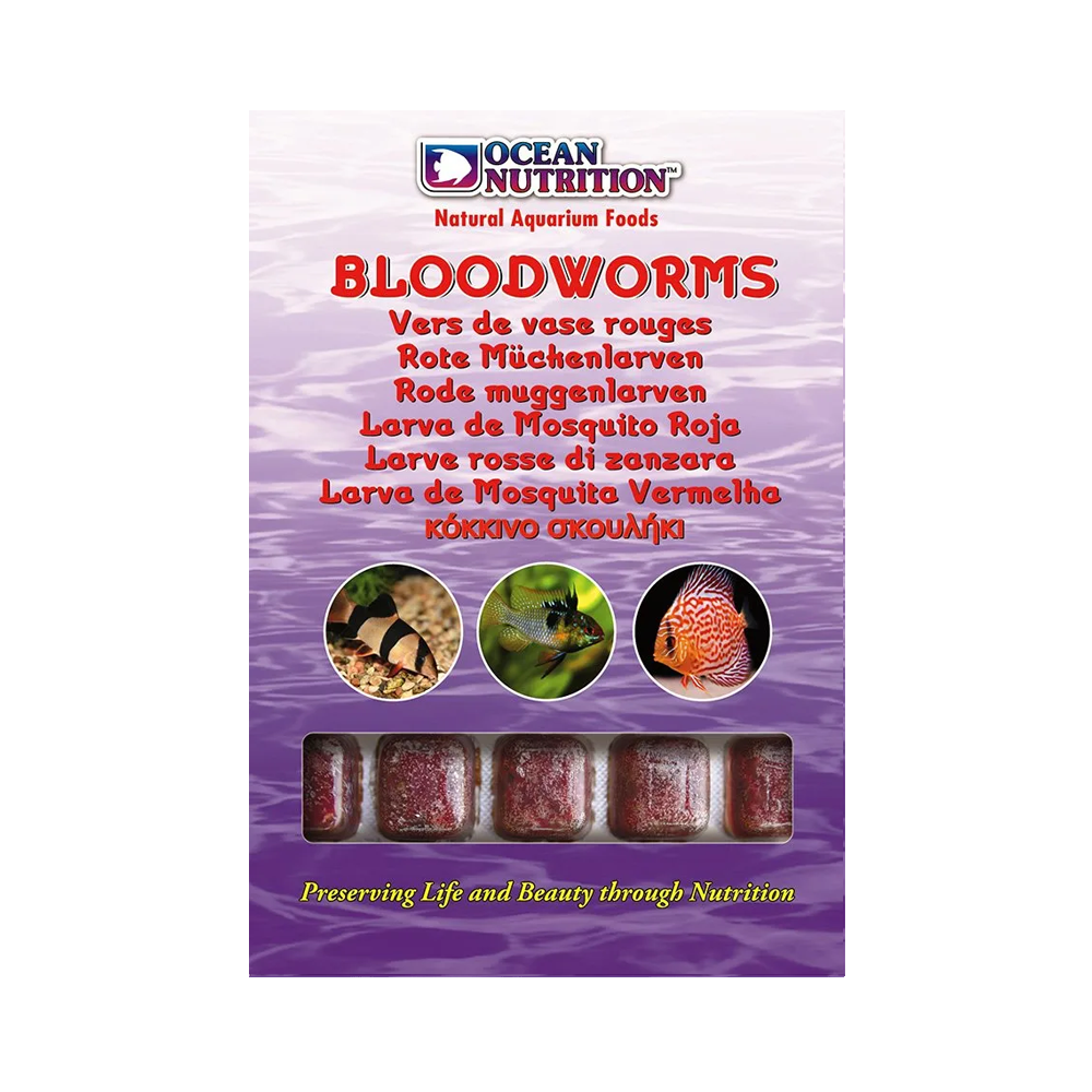 Ocean Nutrition Frozen Bloodworm Flat 454g – Seth's Little Zoo